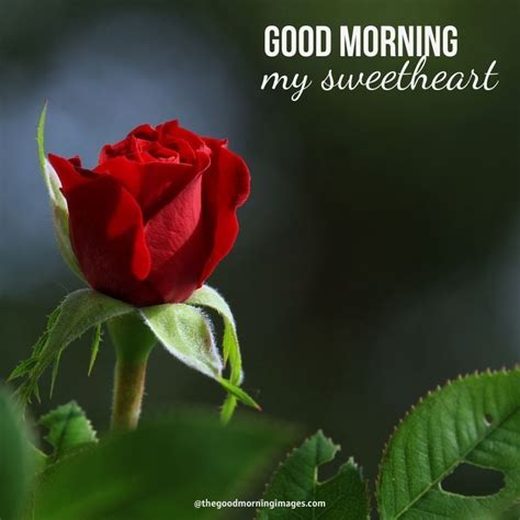 Goodmorning Sweetie Images