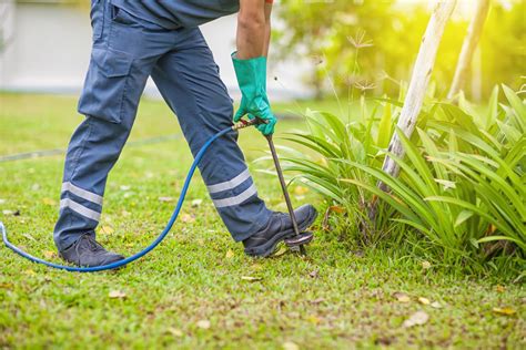 Subterranean Termite Control Servcare
