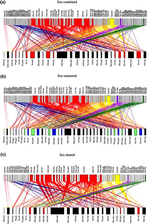 Diagrammatic Representation Of Plantpollinator Networks At The