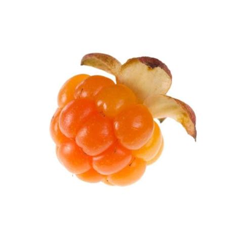 Frozen Wild Cloudberries • Nordic Temptations