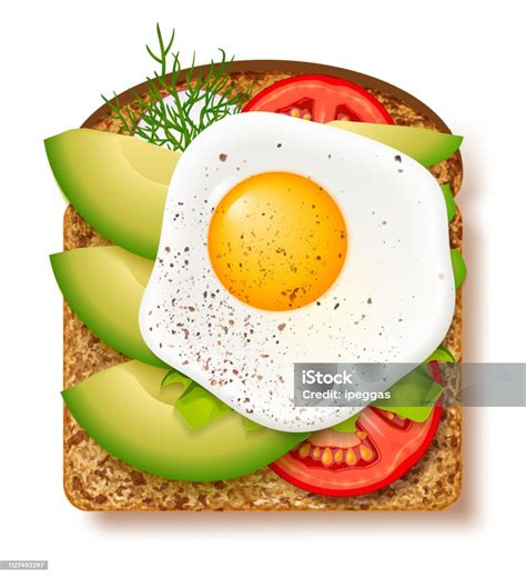 잘 익은 아보카도 조미료와 딜 토마토와 계란의 신선한 조각과 아보카도 토스트 맛 있는 아보카도 샌드위치 벡터 일러스트 레이 션