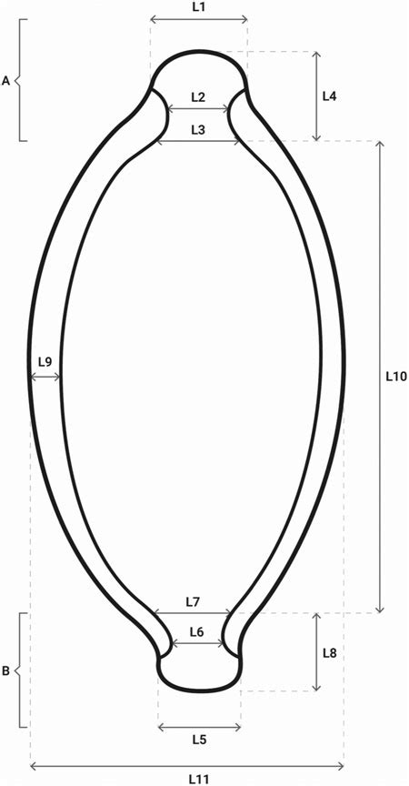 Standardized Measurements For The Morphometric Phenotyping Of Calodium Download Scientific