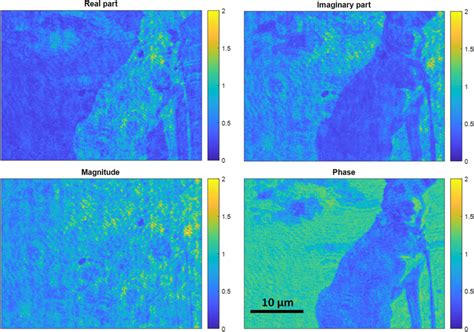 Phase Modulation Using Dmd As Expressed In Equation 1 By Splitting Download Scientific