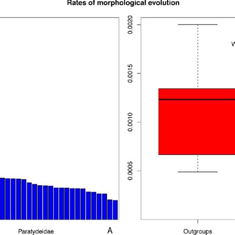 Rates Of Morphological Evolution In Paratydeid Mites And Their