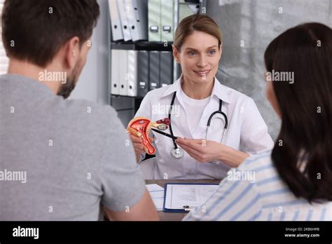 Fertility Doctor Demonstrating Model Of Female Reproductive System To Couple In Clinic Patient