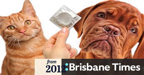 Pet Owners Get Safe Sex Lesson