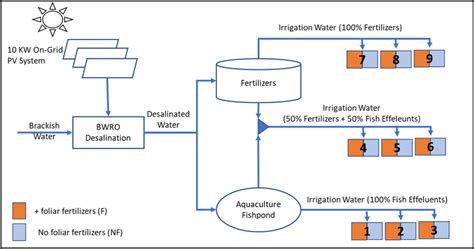 Schematic Integrated Model Design Download Scientific Diagram