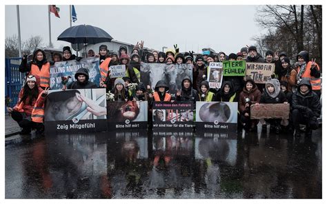 Cologne Climate Save