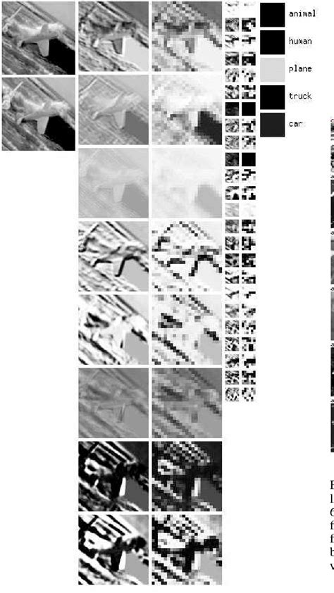 figure 1 from learning methods for generic object recognition with