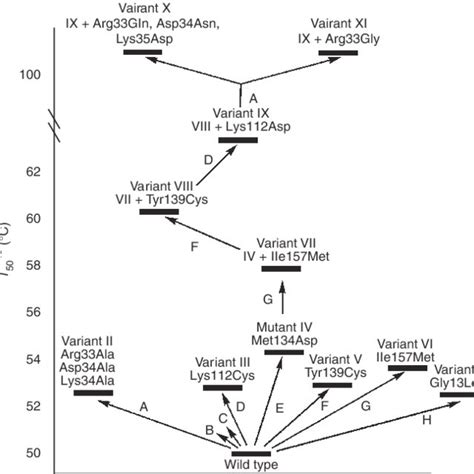 pdf iterative saturation mutagenesis ism for rapid directed
