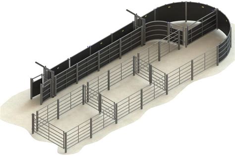 Fixed Cattle Handling Systems Artofit