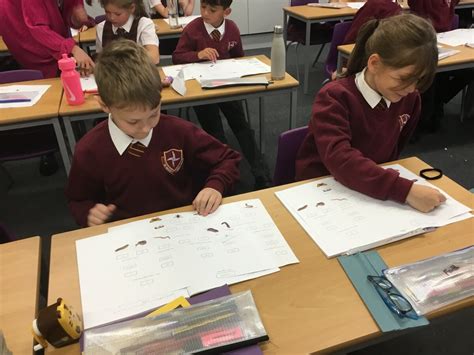Classification Keys Y4 St Bridgets Catholic Primary School