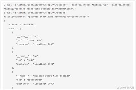 prometheus查询api说明文档 prometheus 查询接口 旷野九思的博客 csdn博客