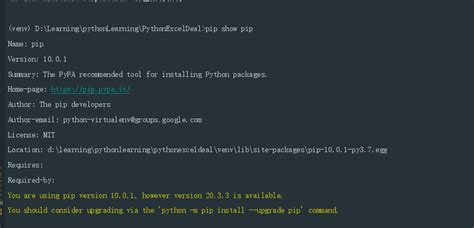 Pip系统安装版本与项目版本不一致解决方法you Are Using Pip Version 1001 However Version Csdn博客