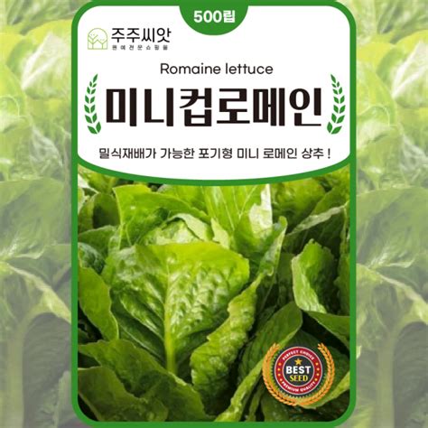 미니 로메인 상추씨앗 500립 포기형 상추씨 쌈채소 종자 씨 하우숩