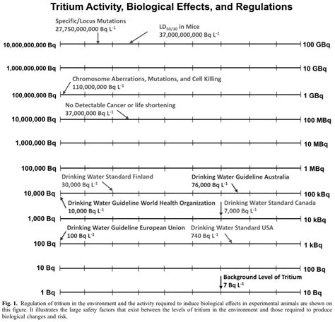 Tritium Reactors Beta Radiation