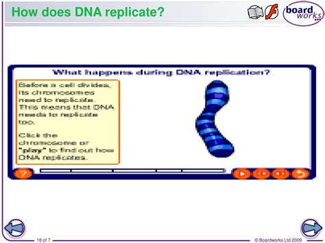 Ppt Lg How Does Dna Make Protein Powerpoint Presentation Free