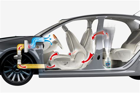 Genesis Boutique 에어컨·히터 탈취제 하바나 러브