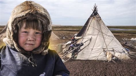 Как оленеводы в тундре забивают и разделывают оленя Кочевые ненцы в