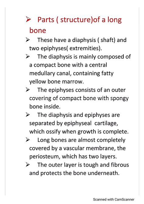 Bone Classification Pdf Bone And Joint Conditions Diseases And
