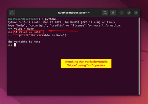 how to check the none value in python [4 best ways]