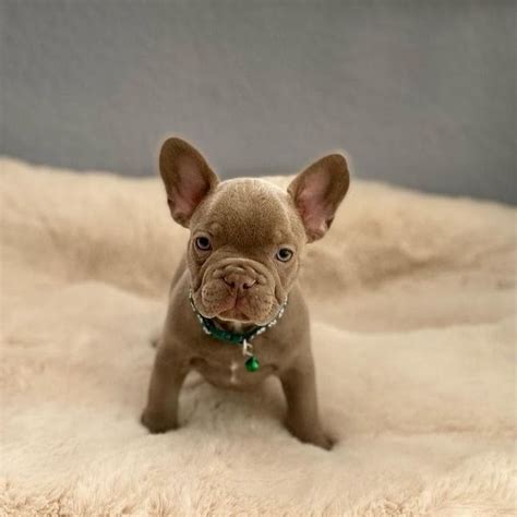 Holly Pearson Youtube