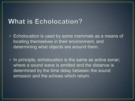 Physics And Echolocation PPTX