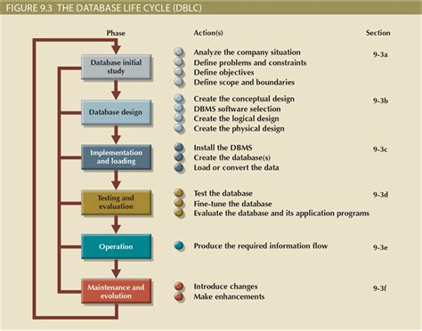 Database Design Thartmanoftheredwoods Wiki Database Design Thartmanoftheredwoods Wiki