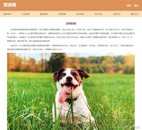 25 可爱的宠物狗网页 web前端网页制作 大学生期末大作业 html5 css3 js dw编程小狗代码作业怎么做 csdn博客