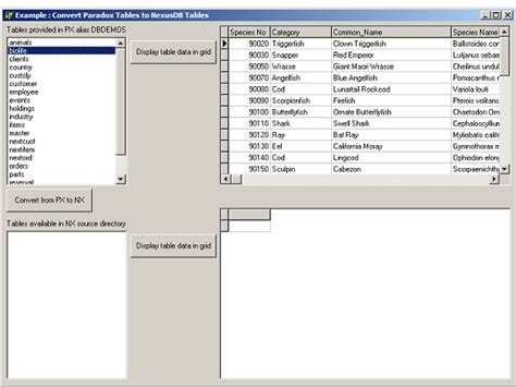 Converting Paradox Tables To Nexusdb Tables Nexusdb