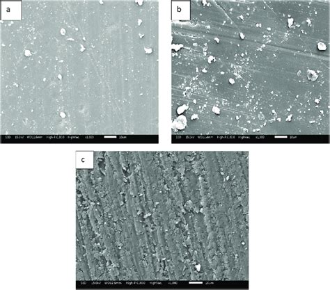 Scanning Electron Micrograph Sem Of Epoxy Composites Reinforced With