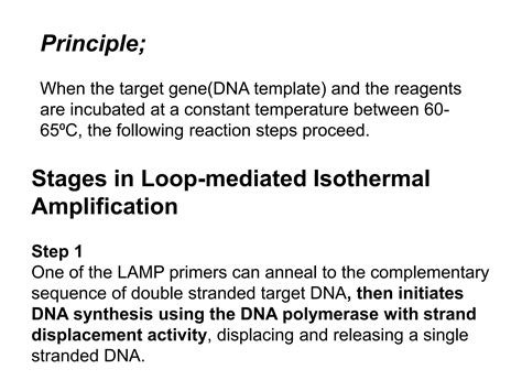 Loop Mediated Isothermal Amplification Pptx