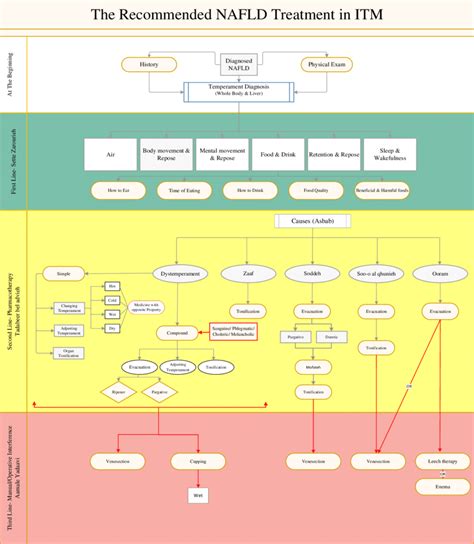 Algorithm Of Nafld Treatment In Itm Download Scientific Diagram