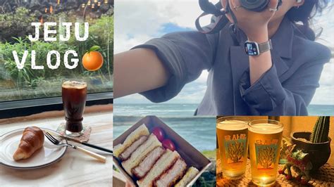 제주여행 VLOG 제주도 혼여행 함덕 나들이 함덕 카페부터 맛집 술집까지 함덕해수욕장 근처 코스 추천 YouTube