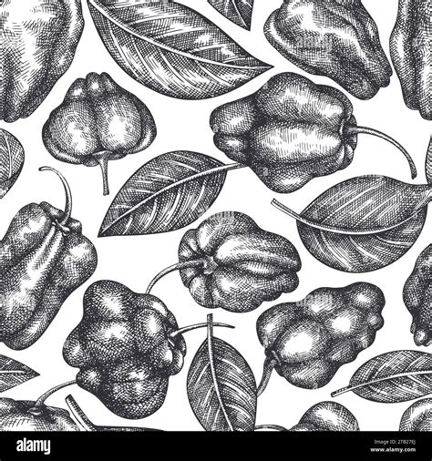 Hand Drawn Sketch Style Scotch Bonnet Pepper Seamless Pattern Organic Hand Drawn Sketch Style Scotch Bonnet Pepper Seamless Pattern Organic