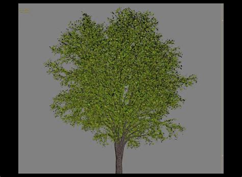 TyFlow DsMaxTutorial