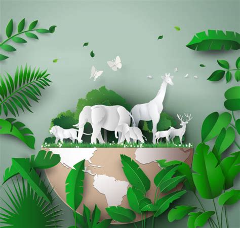 1 072 600 Wildlife Stock Illustrations Royalty Free Vector Graphics And Clip Art Istock