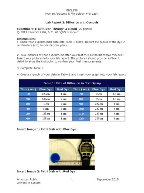 Lab Report Pdf Diffusion Chemistry Lab Report Pdf Diffusion Chemistry