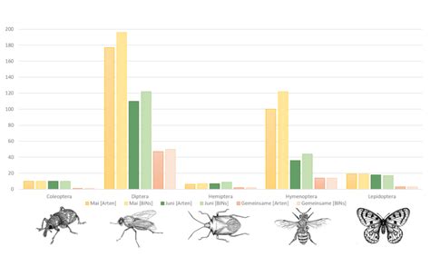 Aim Insect Monitoring — Aimscience