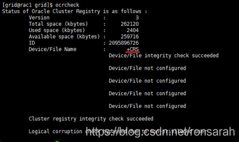 oracle 11gr2 rac安装笔记（四）安装grid infrastructure su grid csdn博客