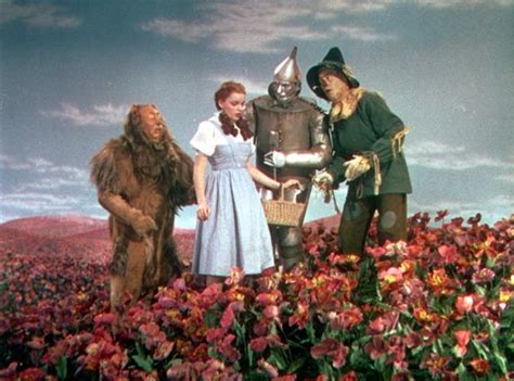 Poppies Poppies The Wonderful Wizard Of Oz Wizard Of Oz