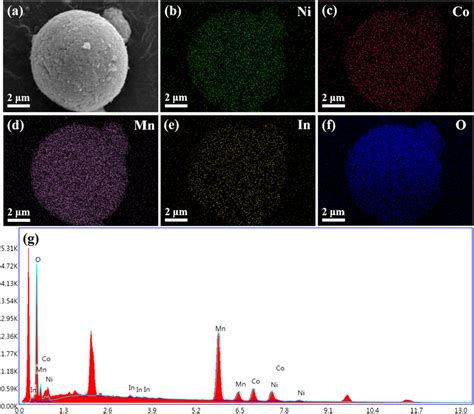 elemental mapping a f and eds spectrum g of 1 wt in2o3 coated