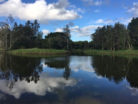 Map Of Strathpine Hotels And Attractions On A Strathpine Map