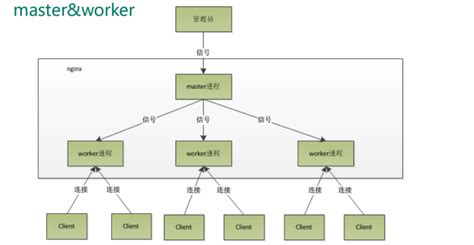 Nginx 入门 十 完结 nginx 原理与优化参数配置 KwFruit 博客园