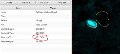 qupath multiplex classifier image analysis image sc forum
