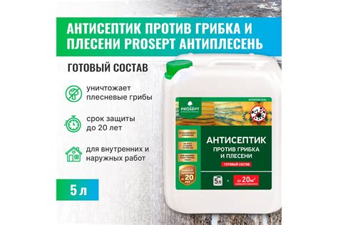 Универсальный антисептик против грибка и плесени PROSEPT АНТИПЛЕСЕНЬ 5 ...