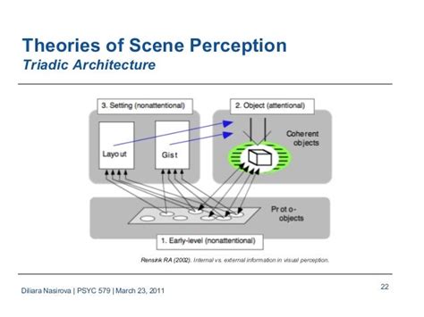 scene perception