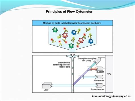 Flow Cytometry Presentation Ppt