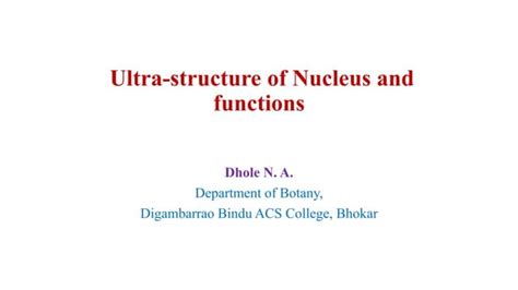 Ultrastructure Of Nucleus And Functions Pptx