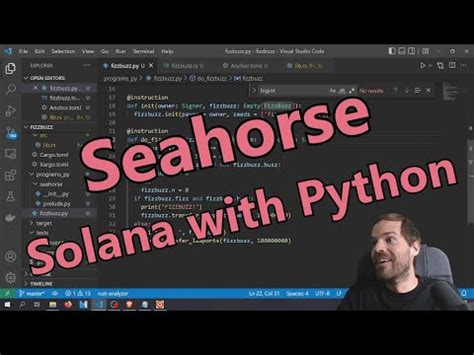 PythonでSeahorseを使ってSolanaプログラムを簡単に記述する方法 2022年最新 動画要約 Glarity